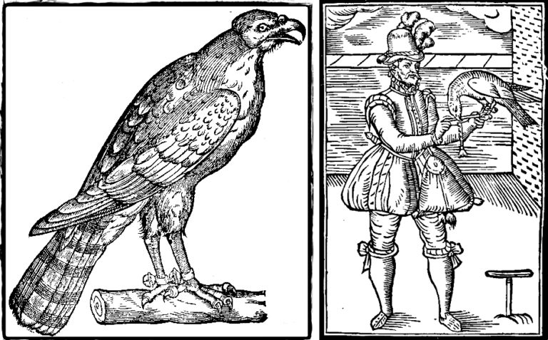 Discovery of the Month – Everyday Life and Fatal Hazard in Sixteenth ...