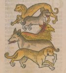 Discovery of the Month – Everyday Life and Fatal Hazard in Sixteenth ...