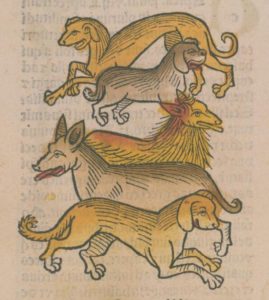 Discovery of the Month – Everyday Life and Fatal Hazard in Sixteenth ...